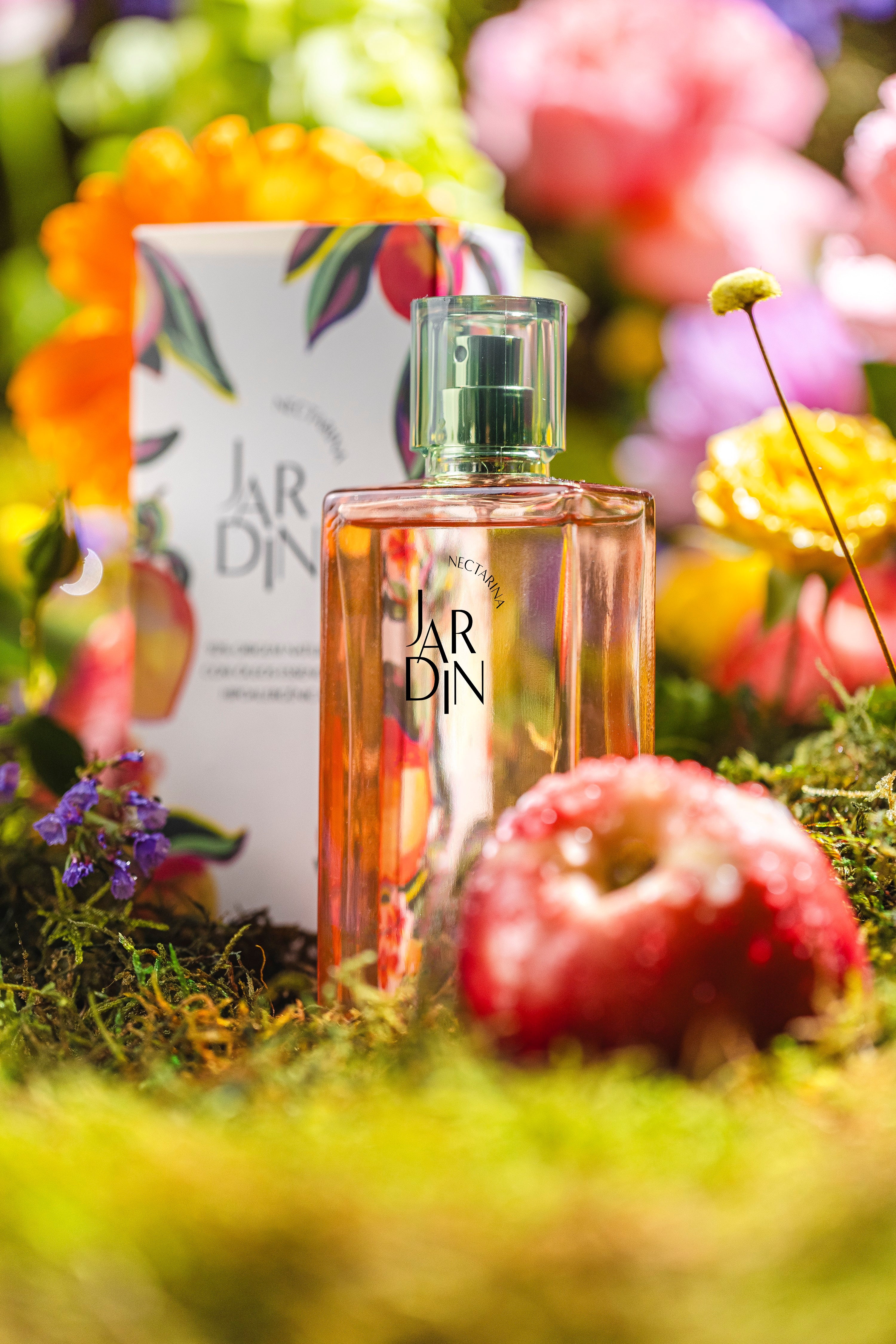 Sustentabilidade e Elegância: A Nova Coleção de Perfumes da Ciclo ...